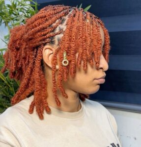 50 Natural Hair Twist Styles for 2025/2026 - Twinkle Styles