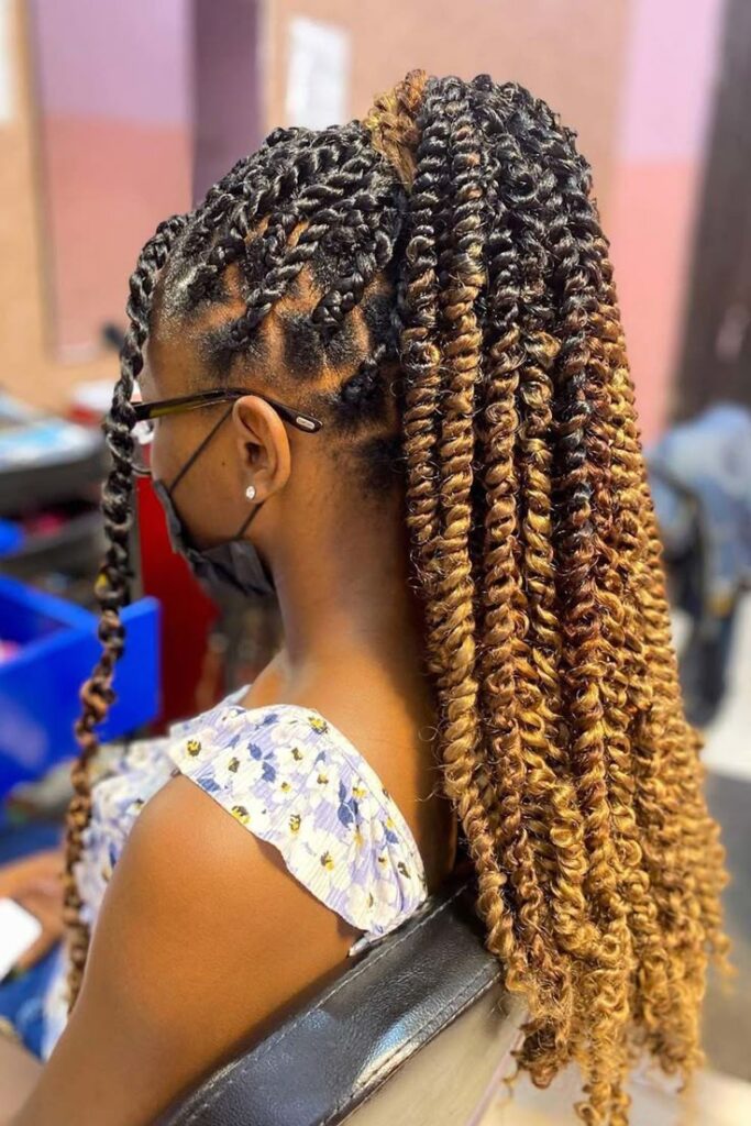 50 Natural Hair Twist Styles for 2025/2026 - Twinkle Styles