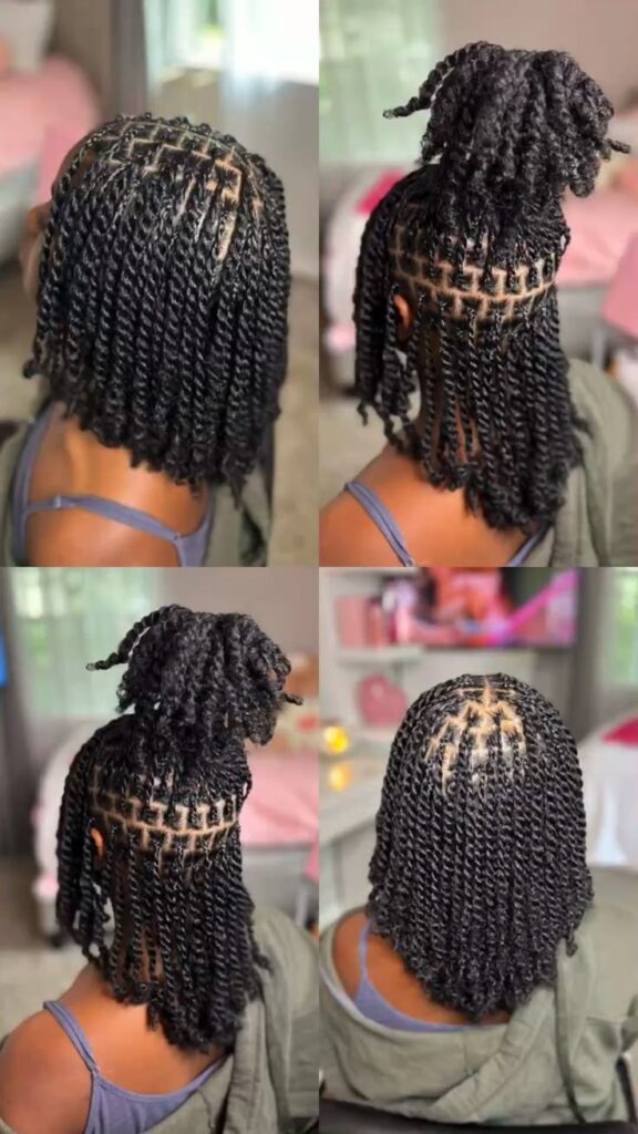 50 Natural Hair Twist Styles for 2025/2026 - Twinkle Styles